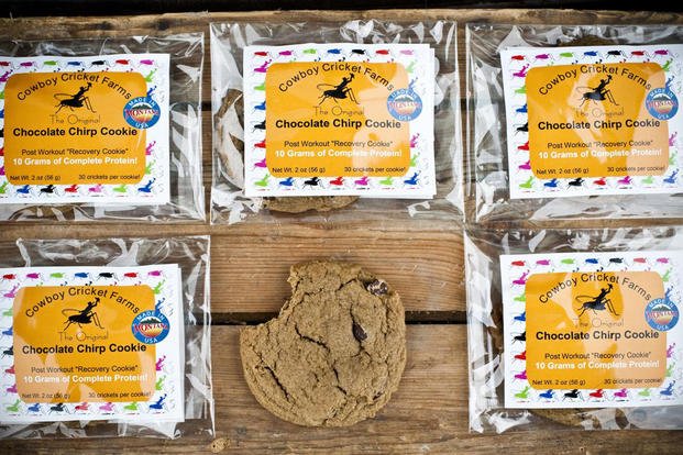 How This Coastie Couple Turned Crickets into Cash | Military.com