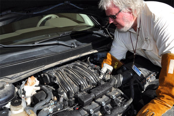 Auto Repair: Basic Safety | Military.com